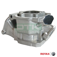 Rotax Max Cylinder