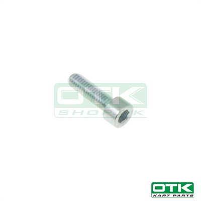 Bolt allen M6 x 25mm