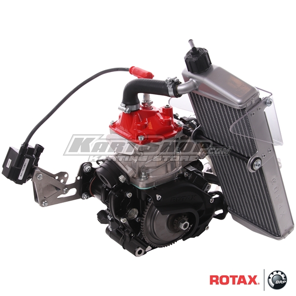 Rotax 125 Mini Max Evo