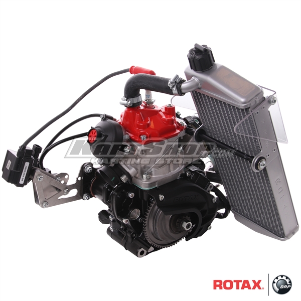 Rotax 125 Senior Max Evo