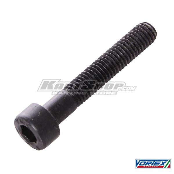 Bolt allen, M5 x 30 mm