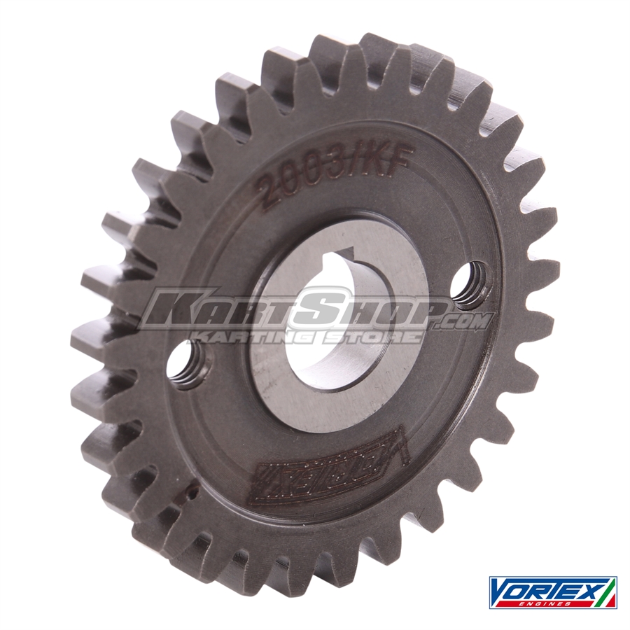 Balancer shaft gear on balance shaft